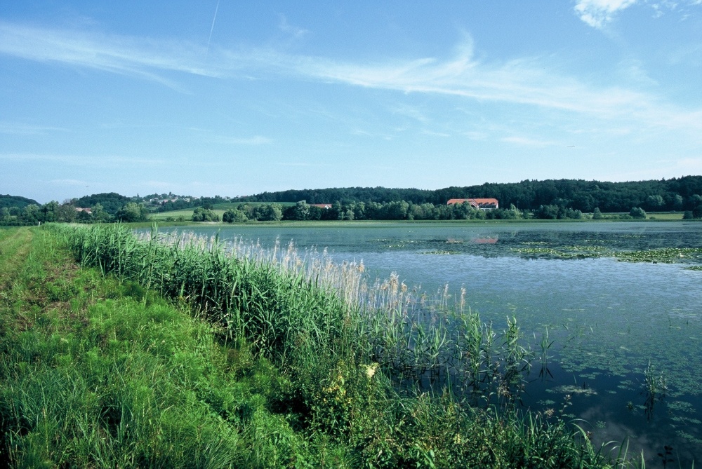 Images tagged "jezero-komarnik" | DOPPS