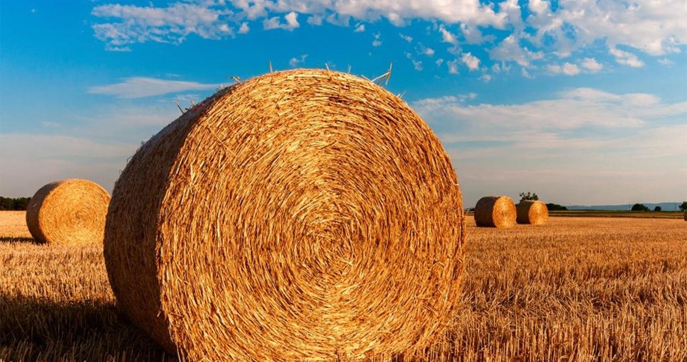 hay-bale | DOPPS