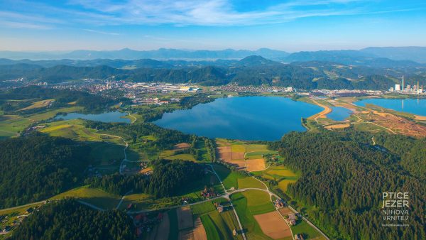 Dokumentarni film: PTICE JEZER, NJIHOVA VRNITEV | DOPPS