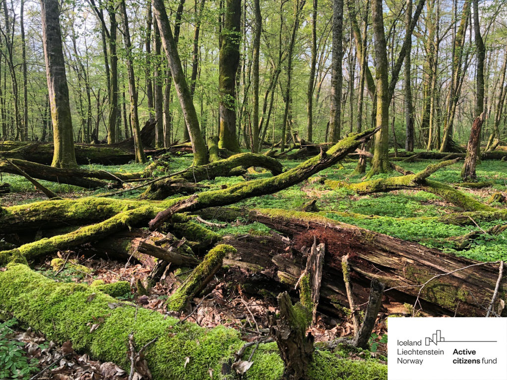 Skupaj za gozdove | DOPPS