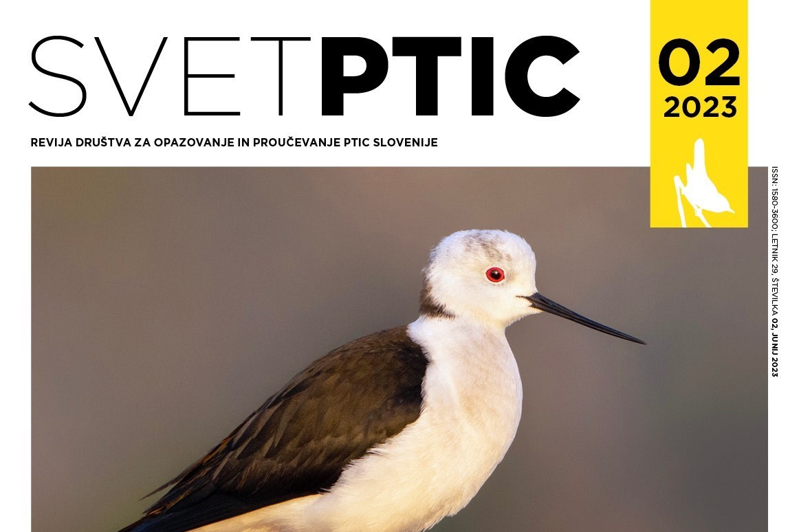 IZŠEL JE POLETNI SVET PTIC! | DOPPS