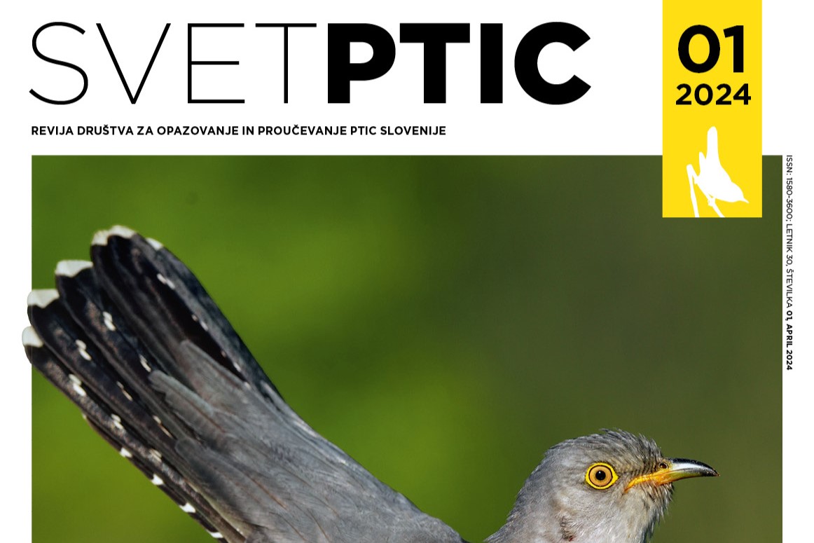 POMLADANSKI SVET PTIC | DOPPS